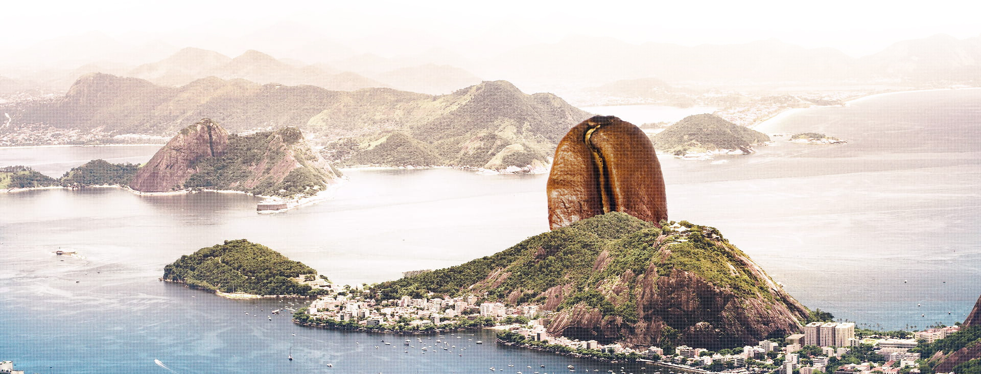 Calma | Brazilian CBD Coffee